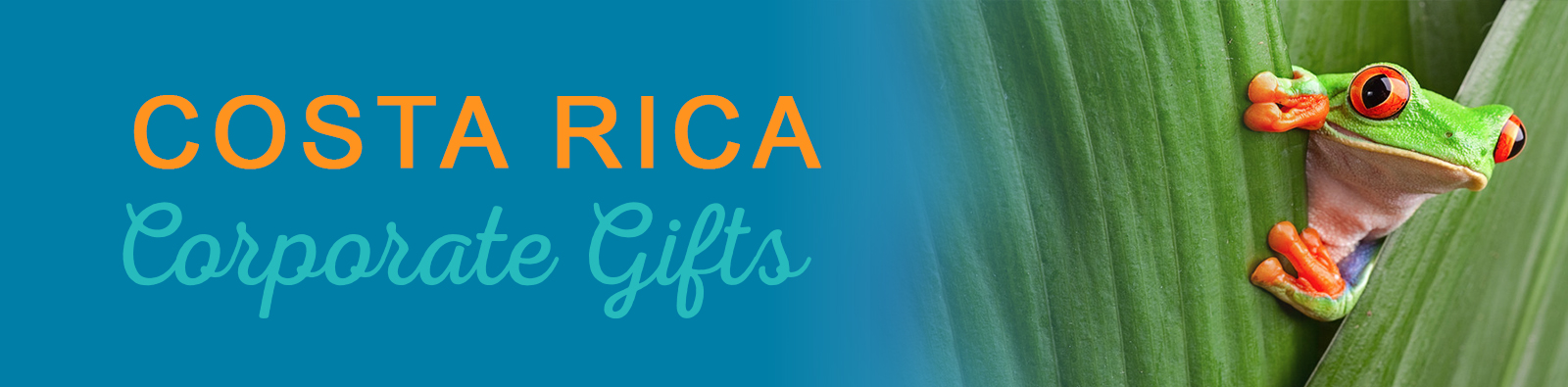 Costa Rica Banner | Caribbean Trading Corporate Gifts